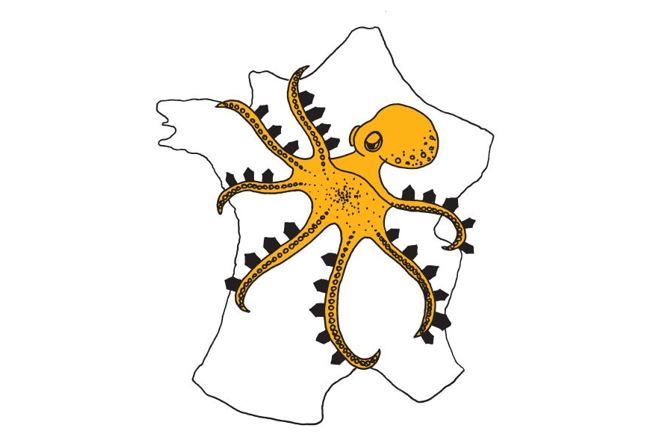 ZAN, le nouveau bonbon de l’aménagement - Détour